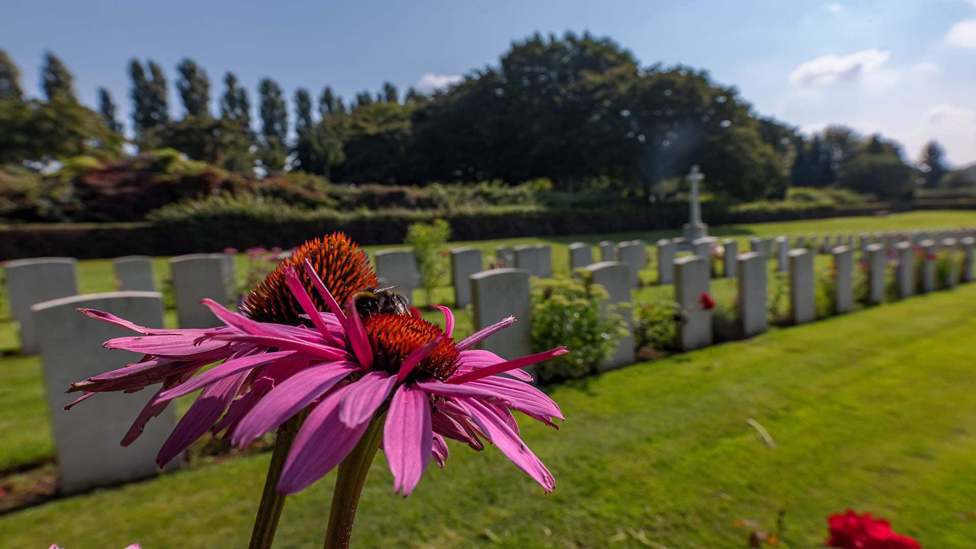 National Remembrance Day – Stichting Brunssum War Cemetery