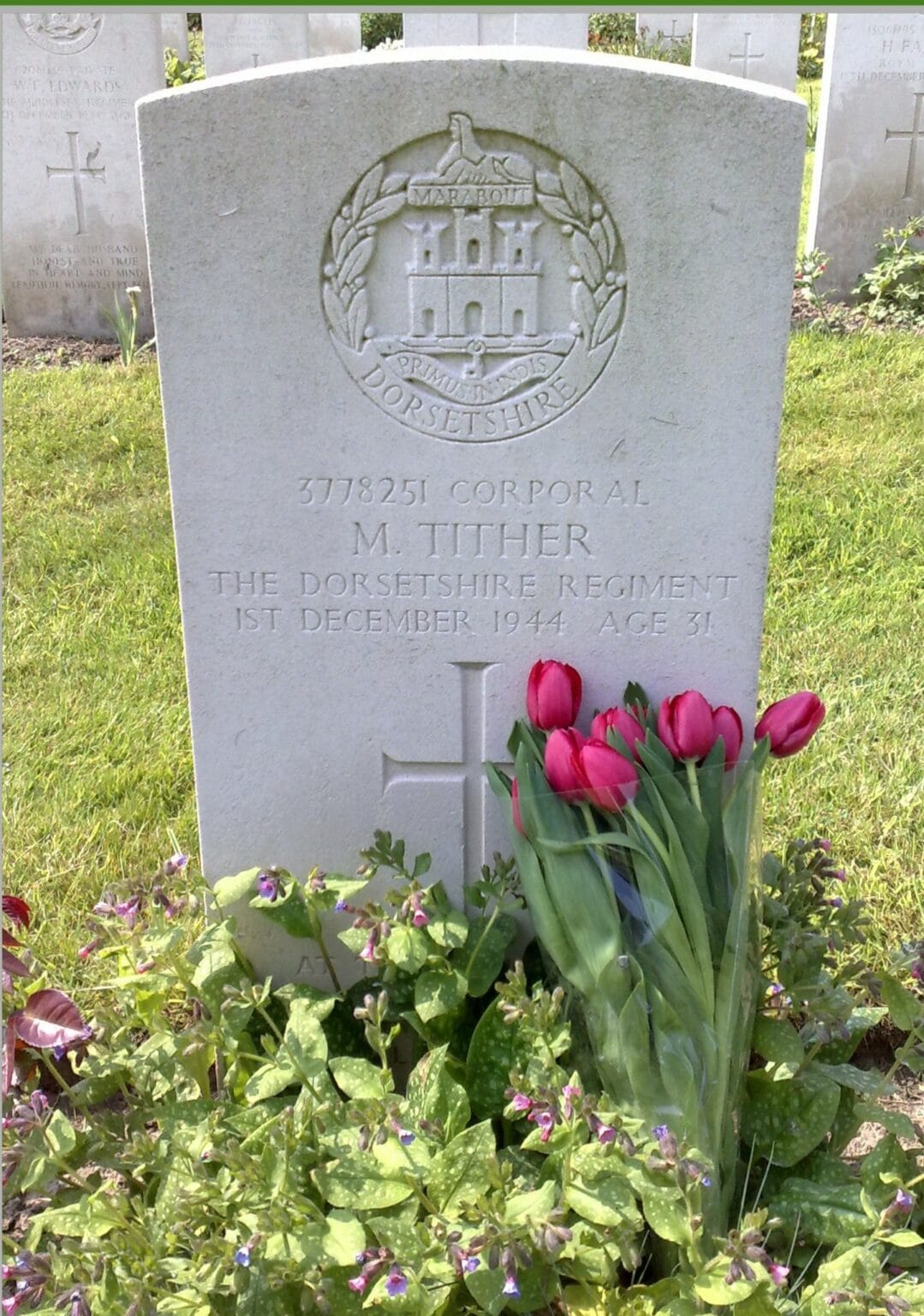 Tither, Matthew – Stichting Brunssum War Cemetery